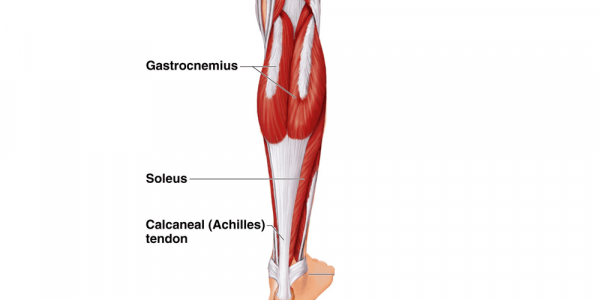 Calf pain? Runner? - Custom Chiropractor