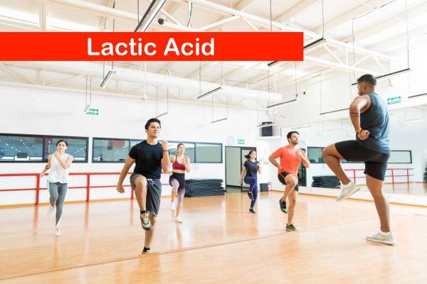 Lactic Acid Build-Up in Muscles, Definition and Myths - Custom Chiropractor